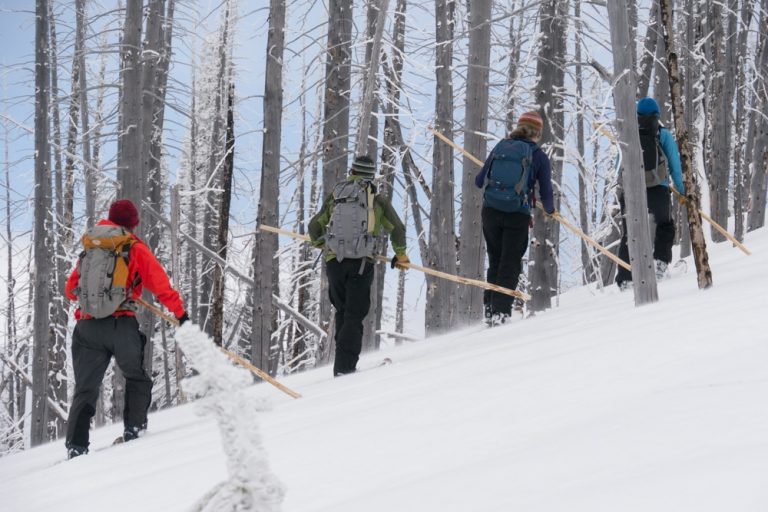 About – Skishoeing