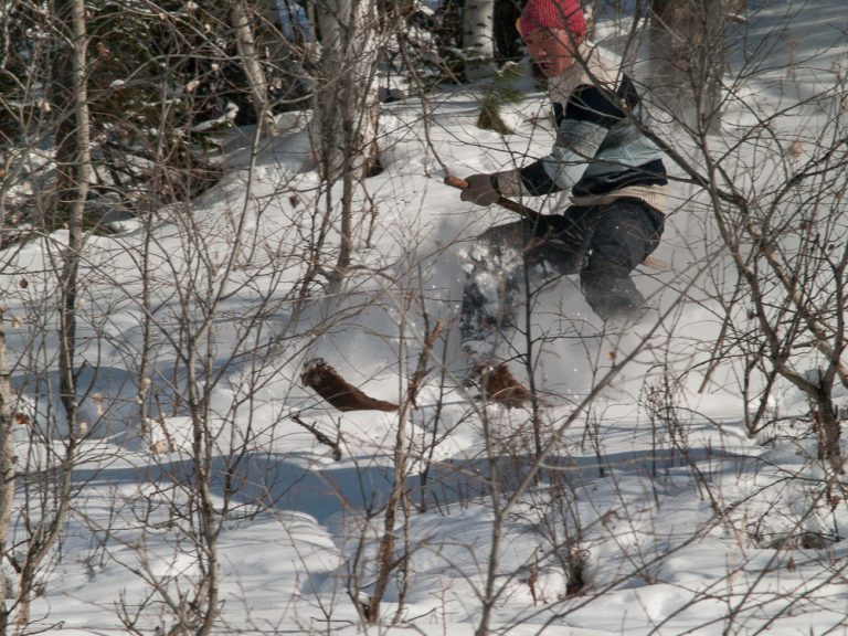 Roots – Skishoeing