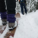 Gallery – Skishoeing